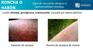 Anatomía y semiología DERMATOLOGÍA.pdf