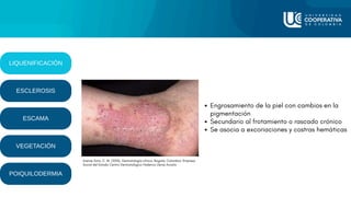 Anatomía y semiología DERMATOLOGÍA.pdf