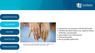 Anatomía y semiología DERMATOLOGÍA.pdf