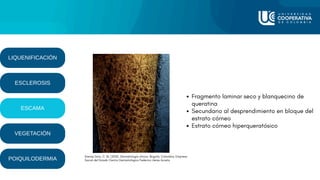 Anatomía y semiología DERMATOLOGÍA.pdf