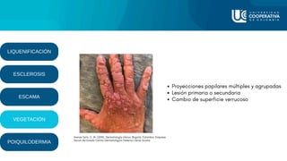 Anatomía y semiología DERMATOLOGÍA.pdf