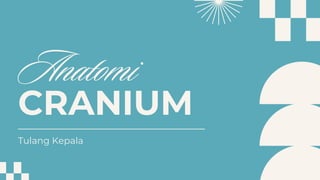 Anatomi bagian kepala dan leher, cranium | PDF