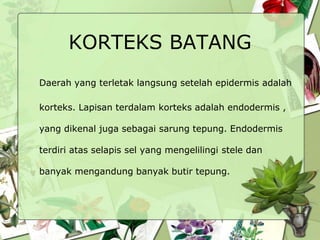 Anatomi batang | PPTX