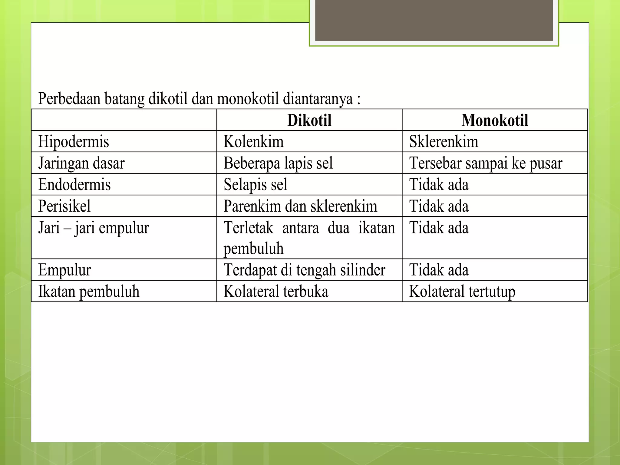 ANATOMI_BATANG_AKAR_DAN_DAUN_TUMBUHAN.pptx | Free Download
