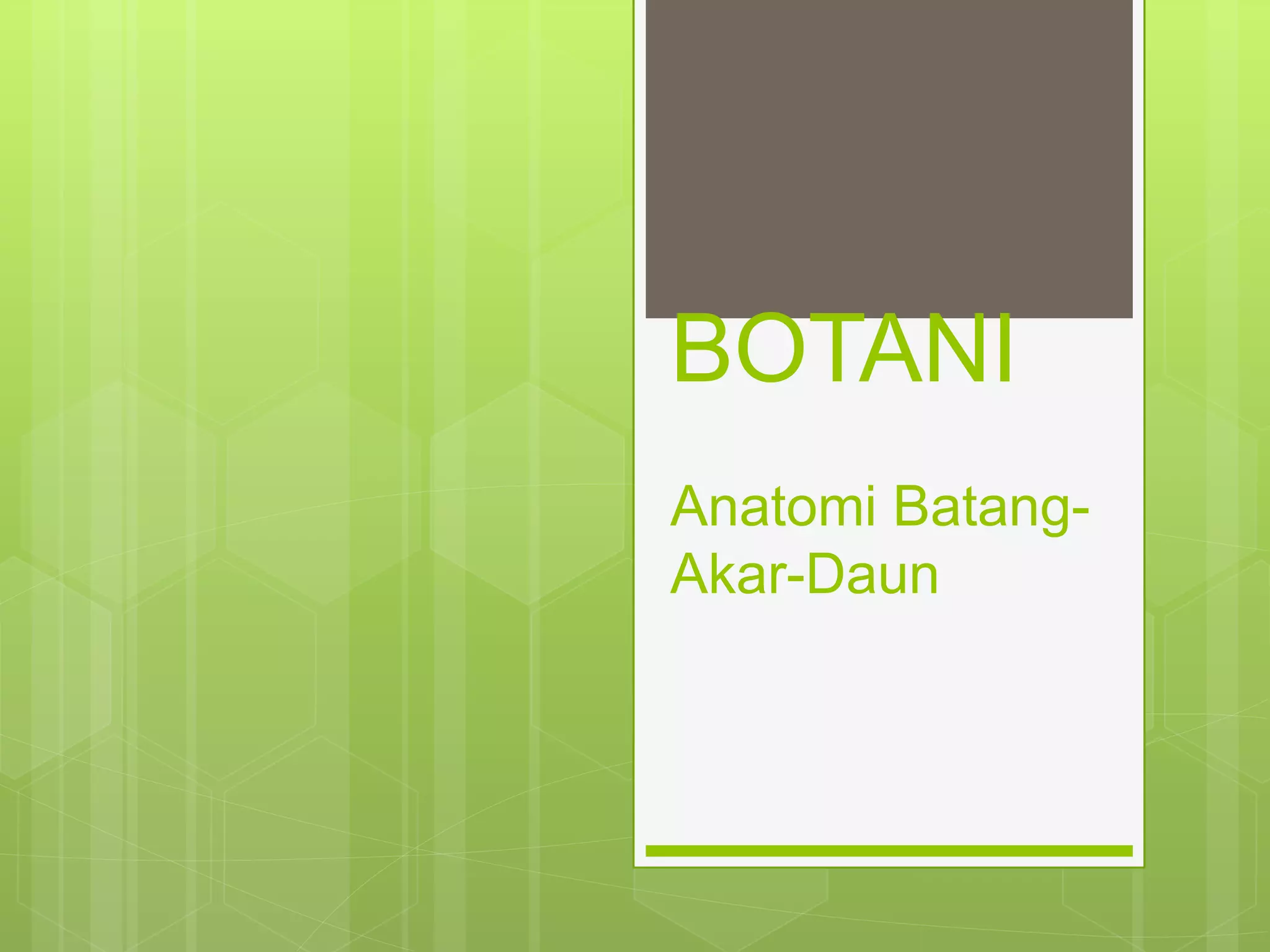 ANATOMY BOTANY | PPT