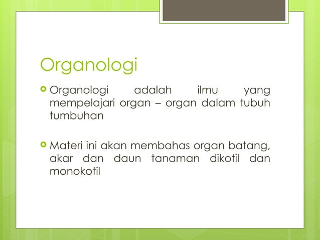 ANATOMI_BATANG_AKAR_DAN_DAUN_TUMBUHAN.pptx