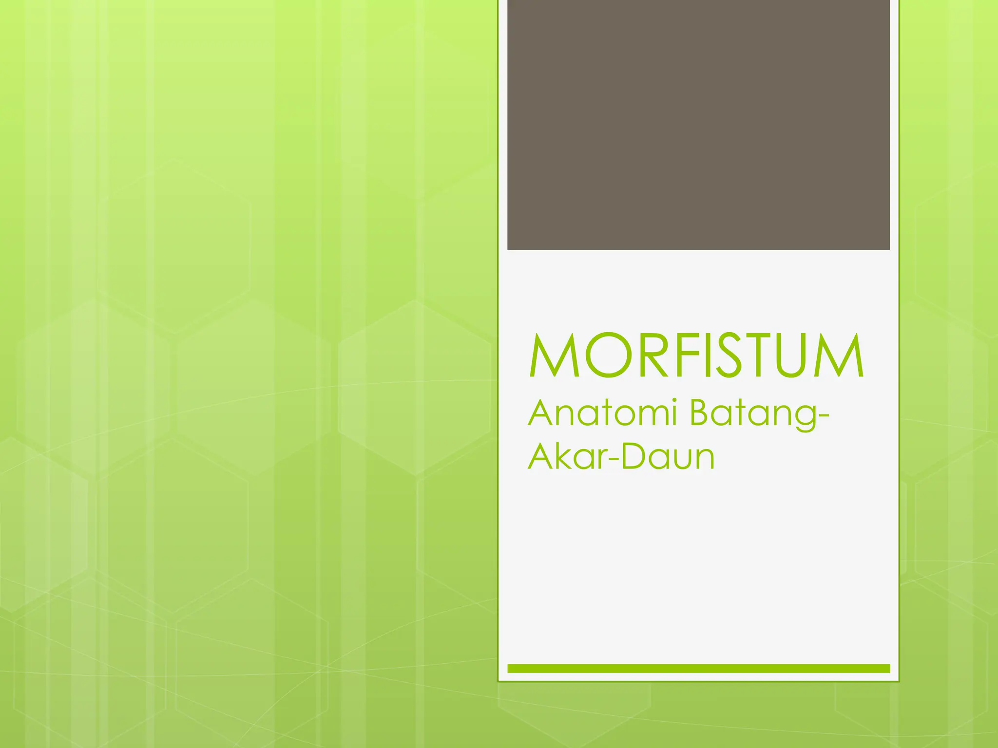 ANATOMI_BATANG_AKAR_DAN_DAUN_TUMBUHAN DIKOTIL DAN MONOKOTIL.pptx