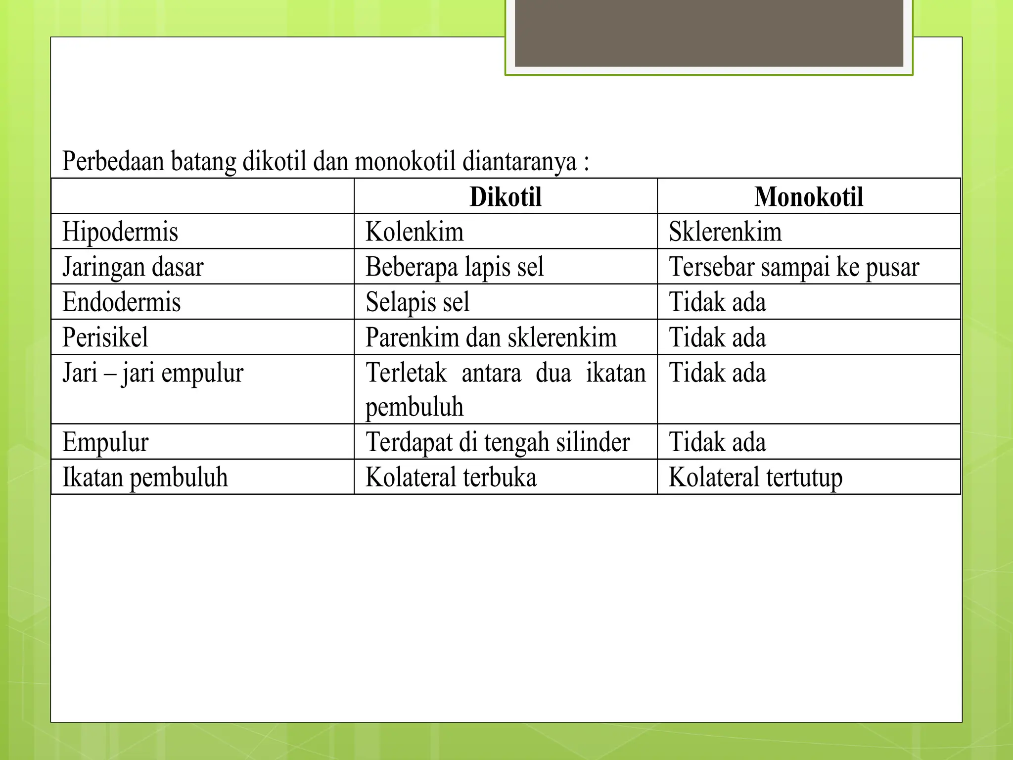ANATOMI_BATANG_AKAR_DAN_DAUN_TUMBUHAN DIKOTIL DAN MONOKOTIL.pptx