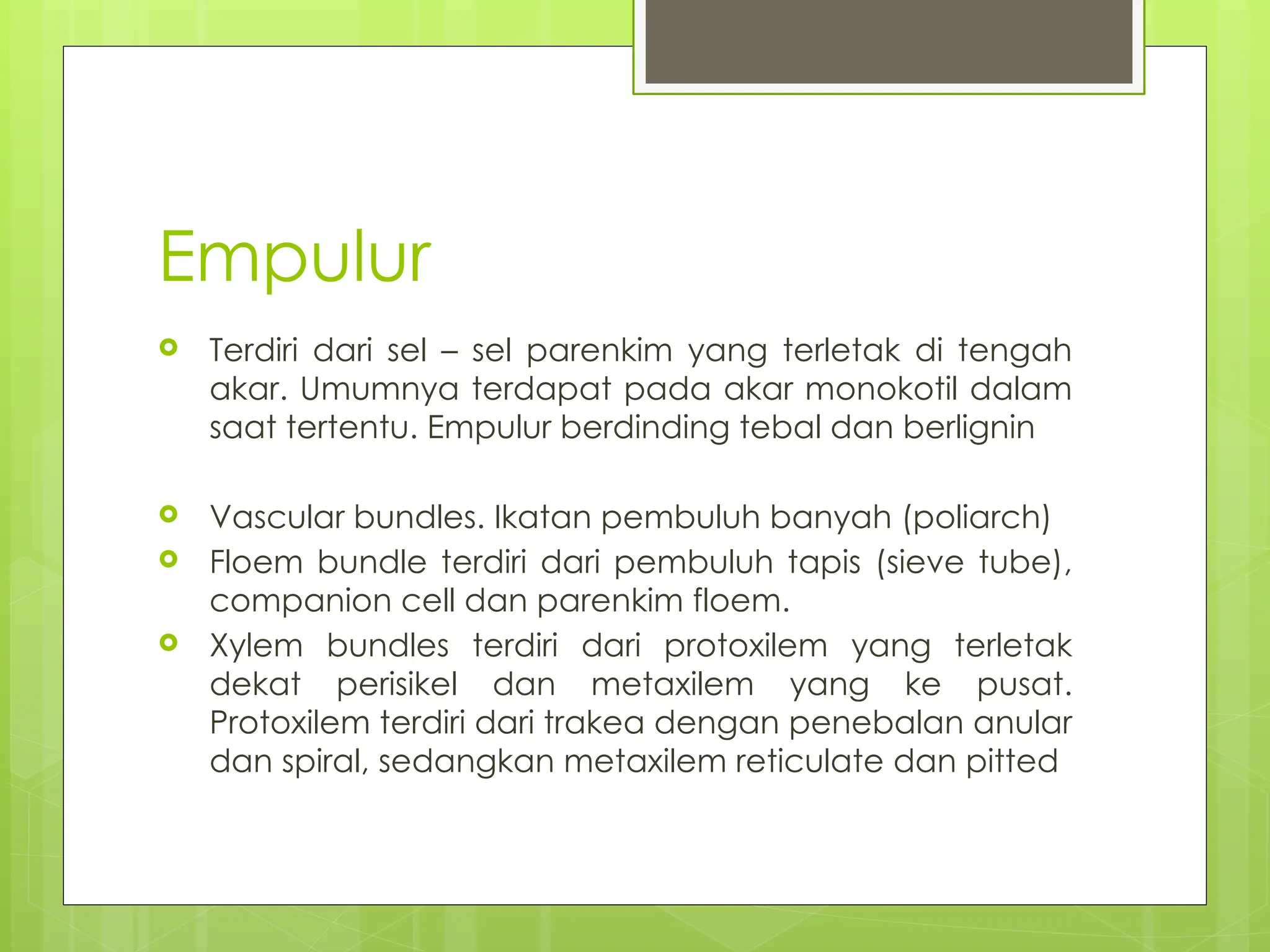 ANATOMI_BATANG_AKAR_DAN_DAUN_TUMBUHAN DIKOTIL DAN MONOKOTIL.pptx