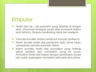 ANATOMI_BATANG_AKAR_DAN_DAUN_TUMBUHAN DIKOTIL DAN MONOKOTIL.pptx