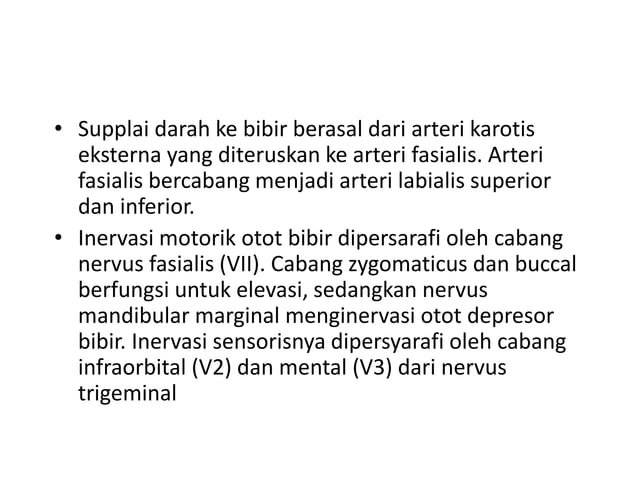 Anatomi Bibir.pptx