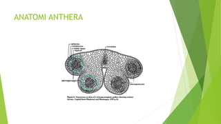 ANATOMI BUNGA.pptx