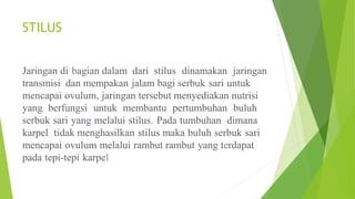 ANATOMI BUNGA.pptx