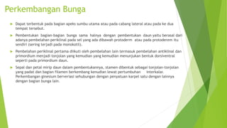 ANATOMI BUNGA.pptx