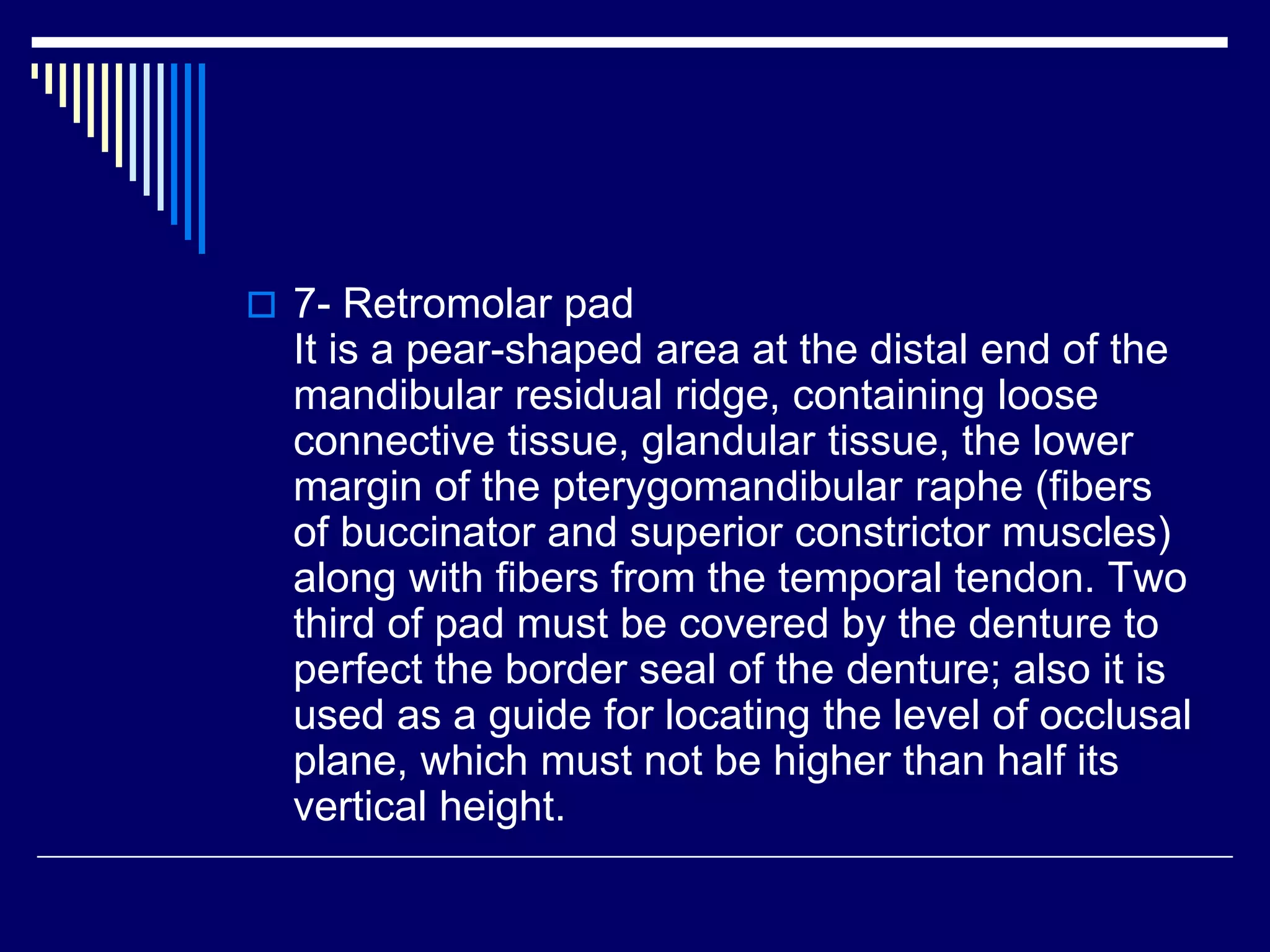 Anatomical landmarks-7620033 | PPSX