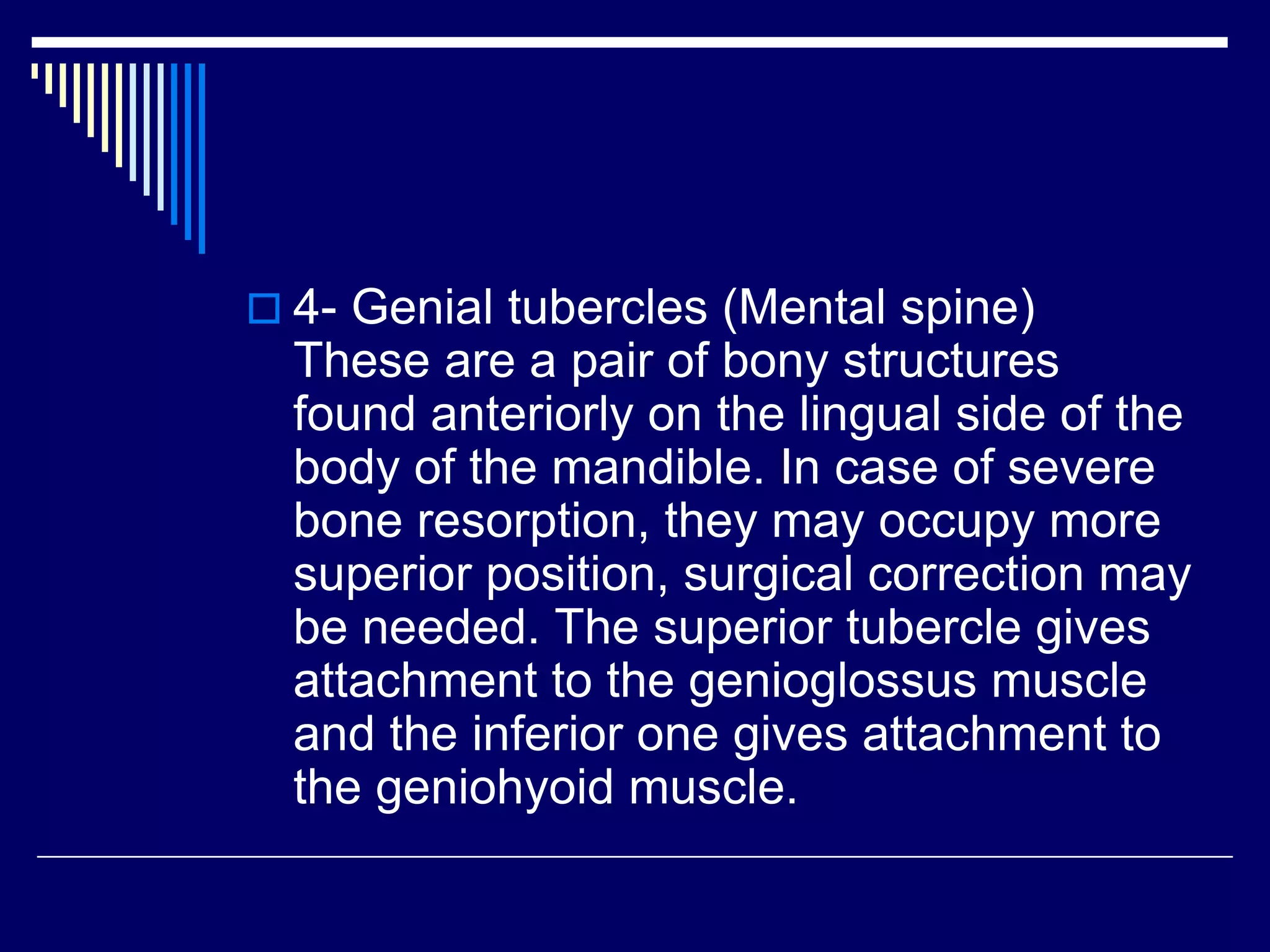 Anatomical landmarks-7620033 | PPSX