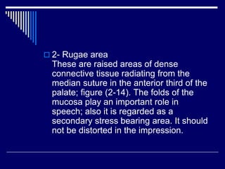 Anatomical landmarks-7620033 | PPSX