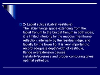 Anatomical landmarks-7620033 | PPSX