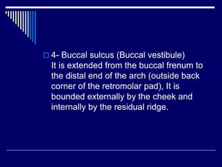 Anatomical landmarks-7620033 | PPSX