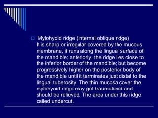 Anatomical landmarks-7620033 | PPSX