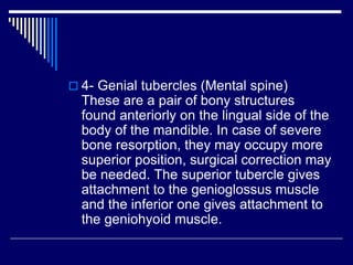 Anatomical landmarks-7620033 | PPSX