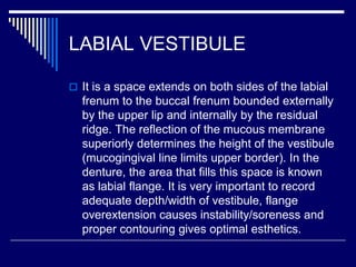 Anatomical landmarks-7620033 | PPSX