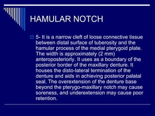 Anatomical landmarks-7620033 | PPSX