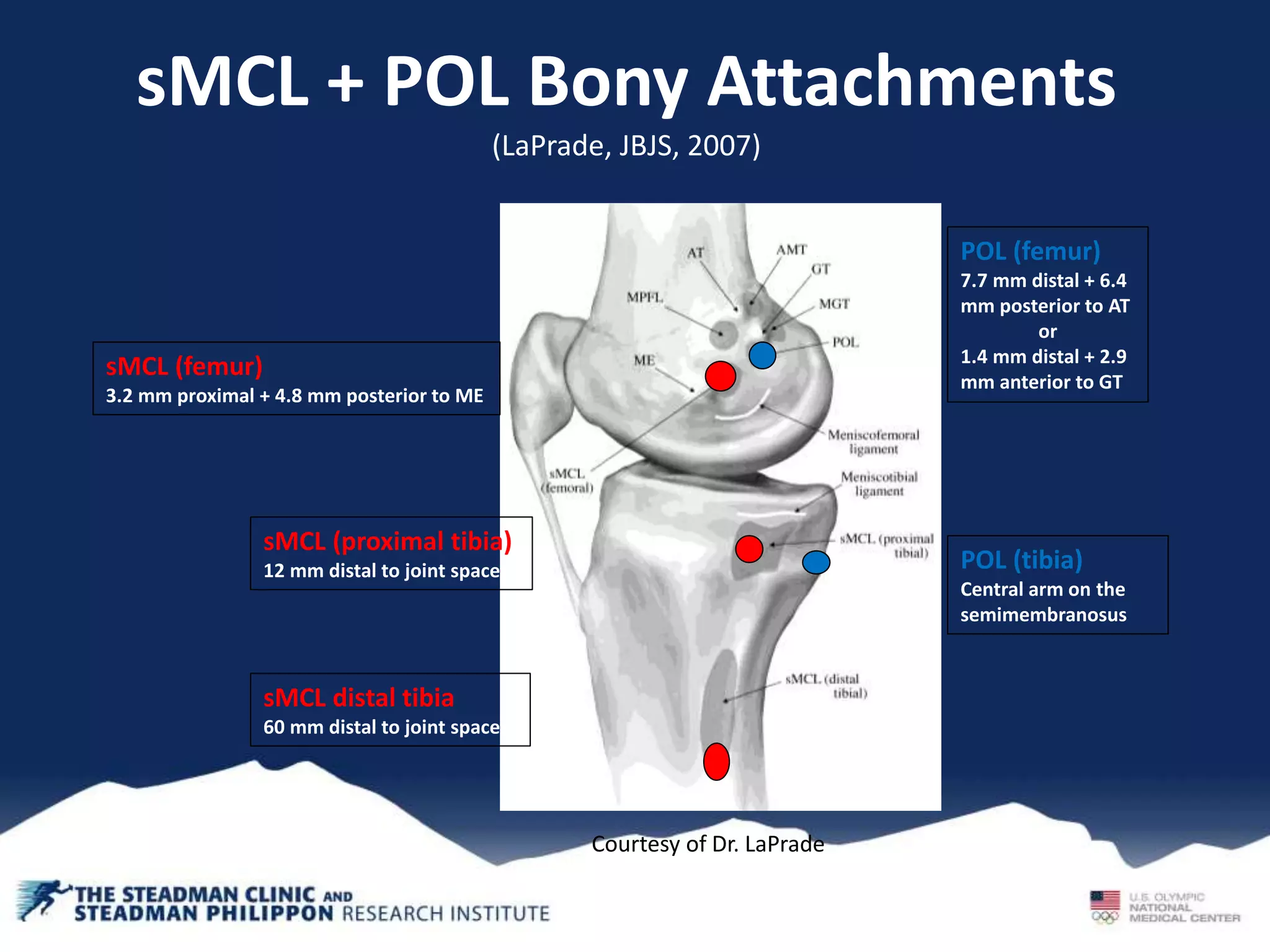 Anatomical Landmarks of the Knee | PPTX