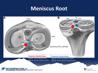 Anatomical Landmarks of the Knee | PPTX