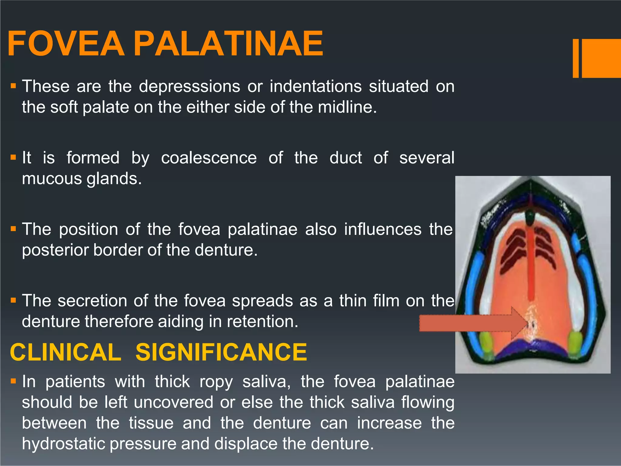 ANATOMICAL-LANDMARKS-OF-CD.pptx
