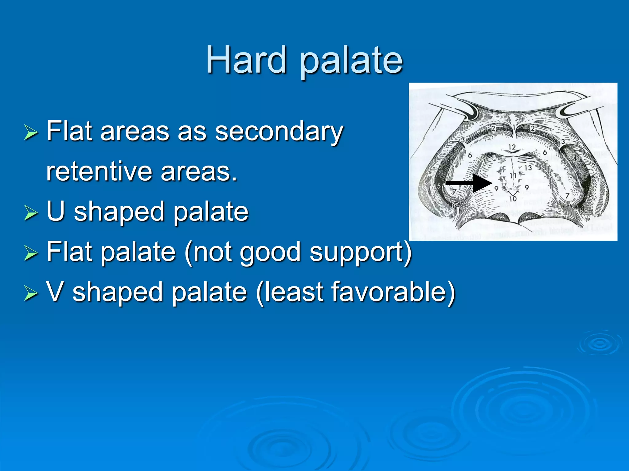 maxillary anatomical landmarks | PPT