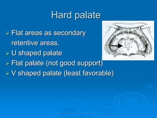 maxillary anatomical landmarks | PPT