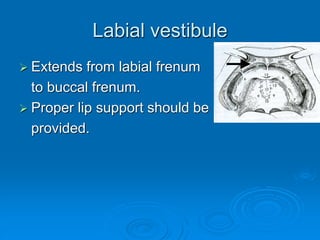 maxillary anatomical landmarks | PPT