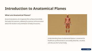 Anatomical-Terminology-and-Body-Planes.pptx