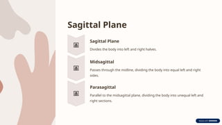 Anatomical-Terminology-and-Body-Planes.pptx