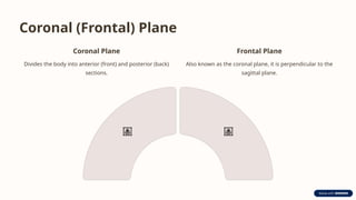 Anatomical-Terminology-and-Body-Planes.pptx