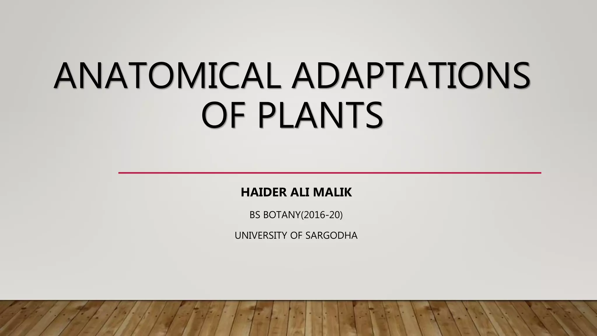 Anatomical adaptations of plants | PPTX