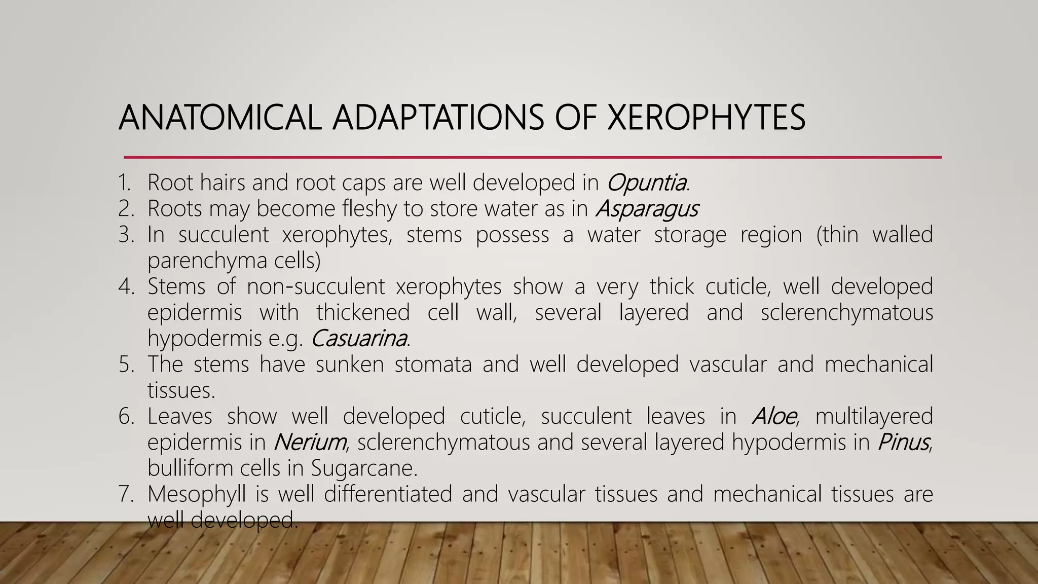 Anatomical adaptations of plants | PPTX