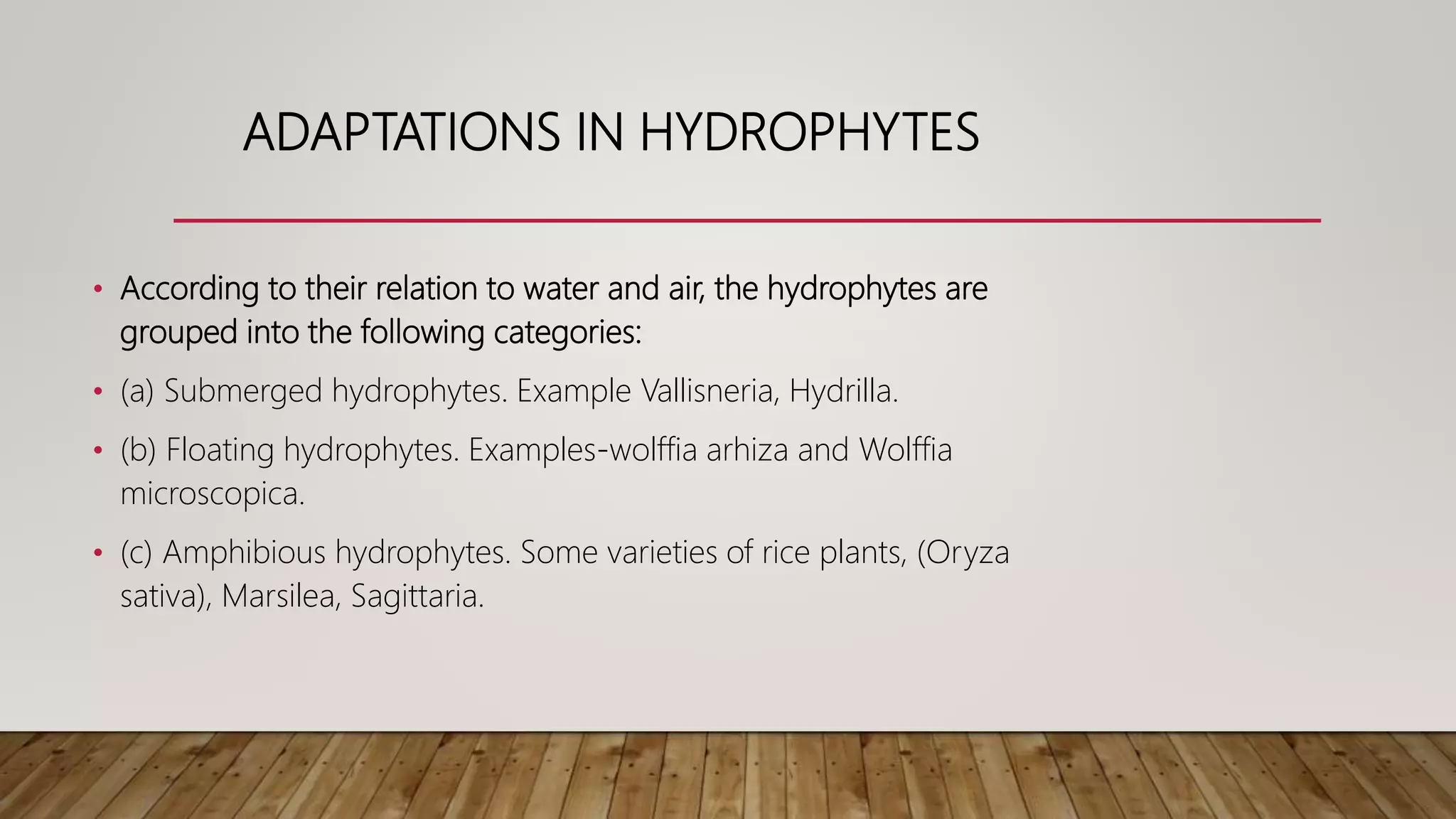 Anatomical adaptations of plants | PPTX