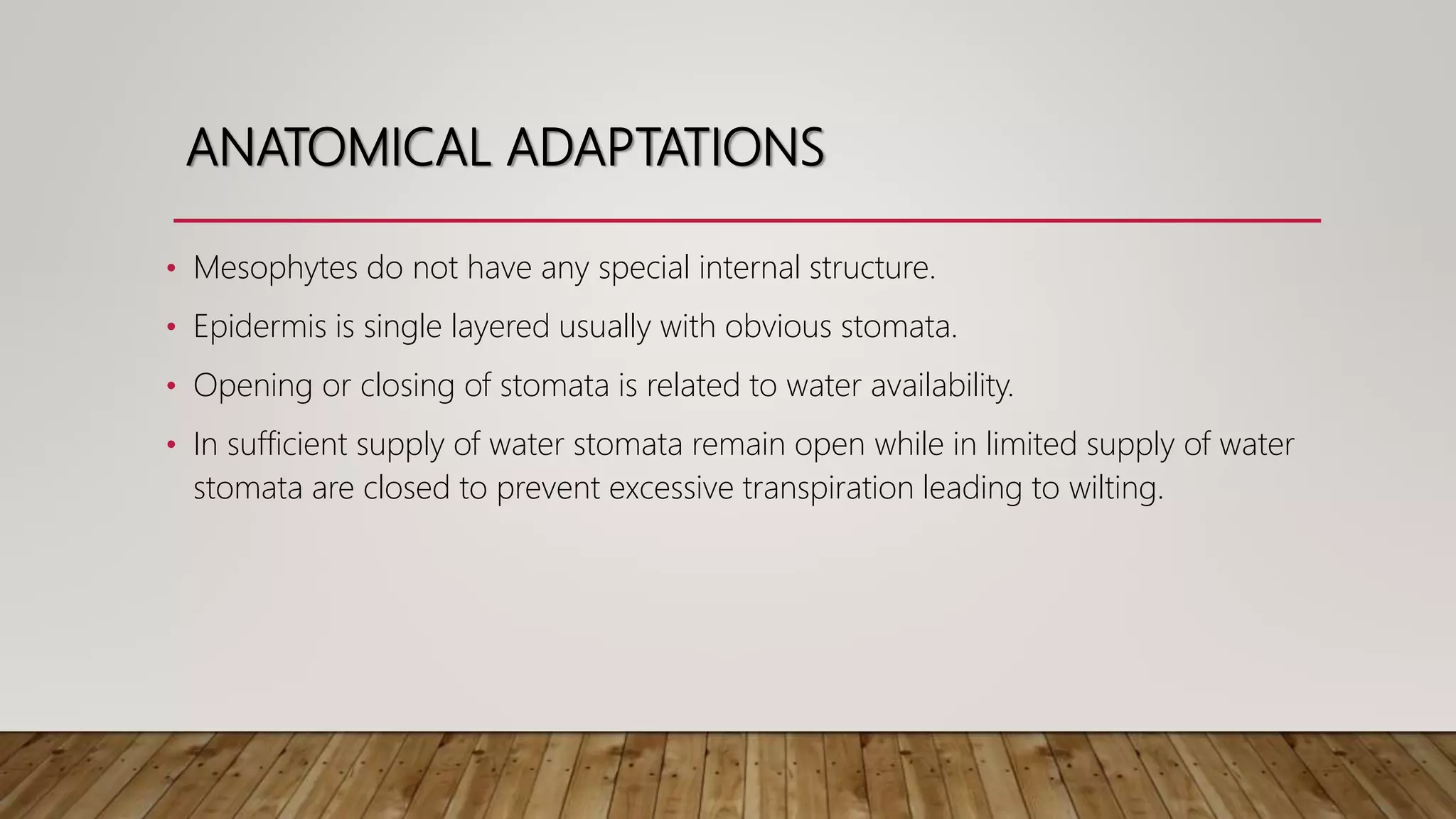 Anatomical adaptations of plants | PPTX | Gardening | Home & Garden