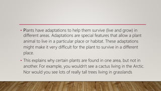 Anatomical adaptations of plants | PPTX
