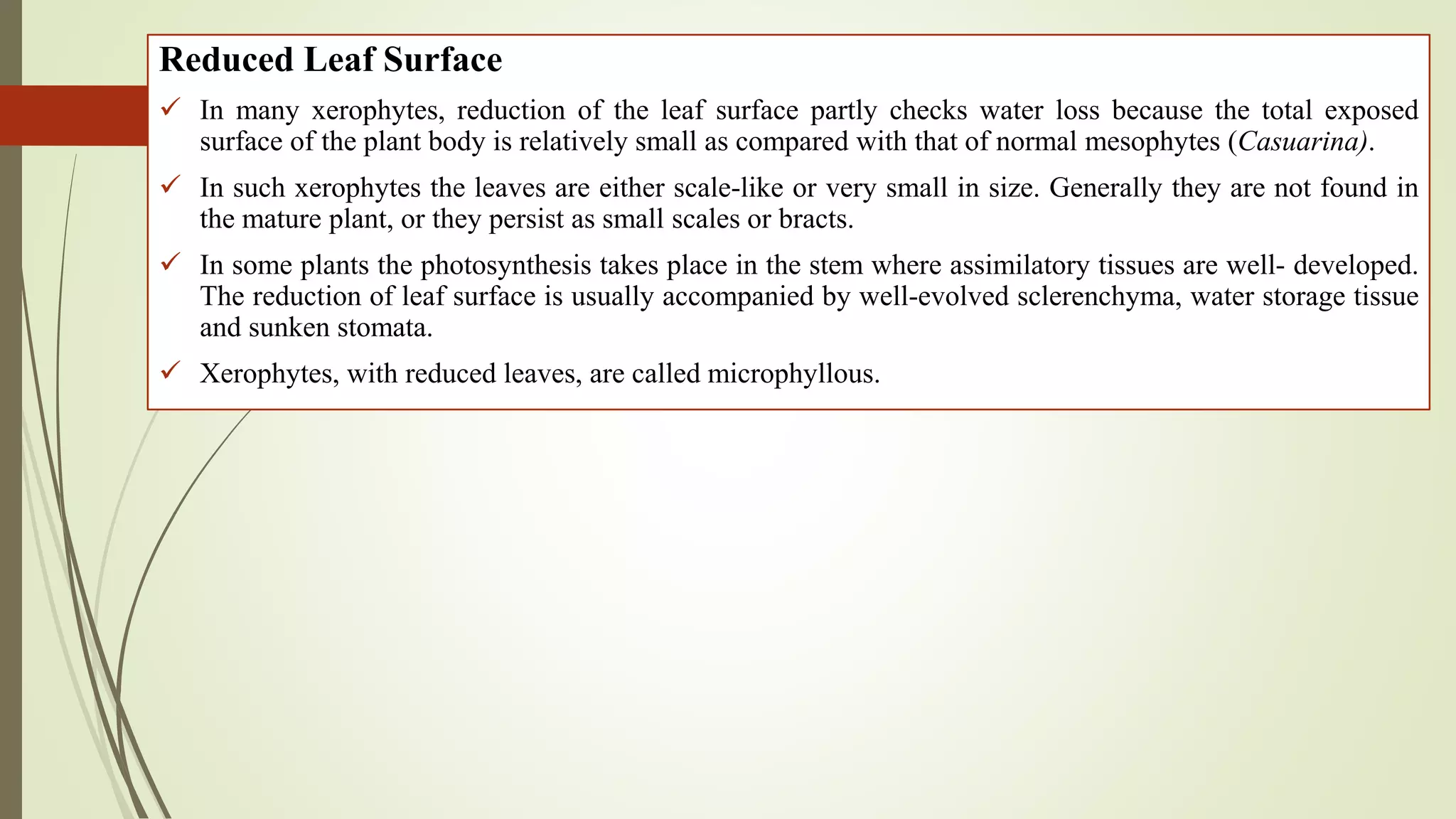 Anatomical Adaptation XEROPHYTES.pptx