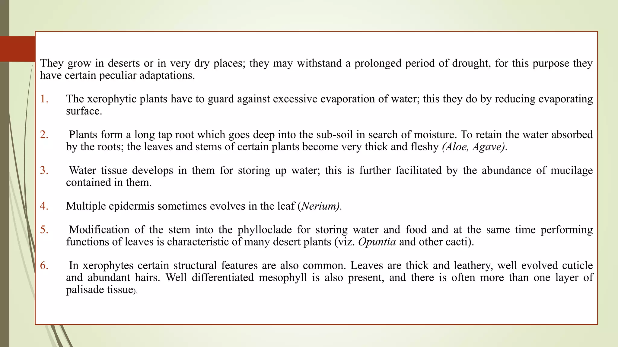 Anatomical Adaptation XEROPHYTES.pptx