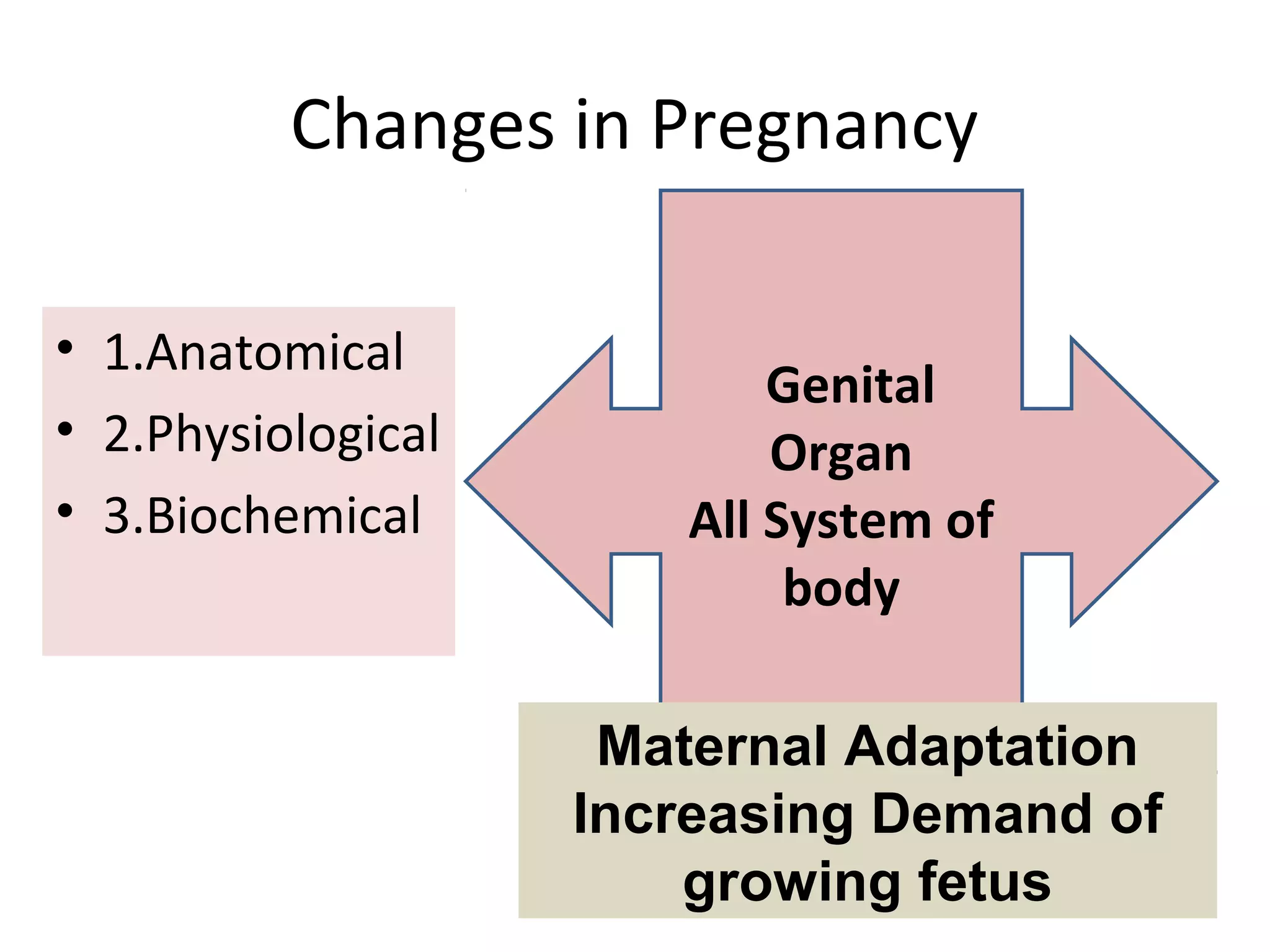 Anatomical and physiological change in pregnancy | PPT
