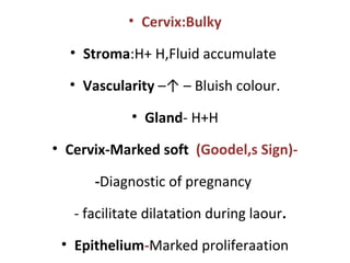 Anatomical and physiological change in pregnancy | PPT