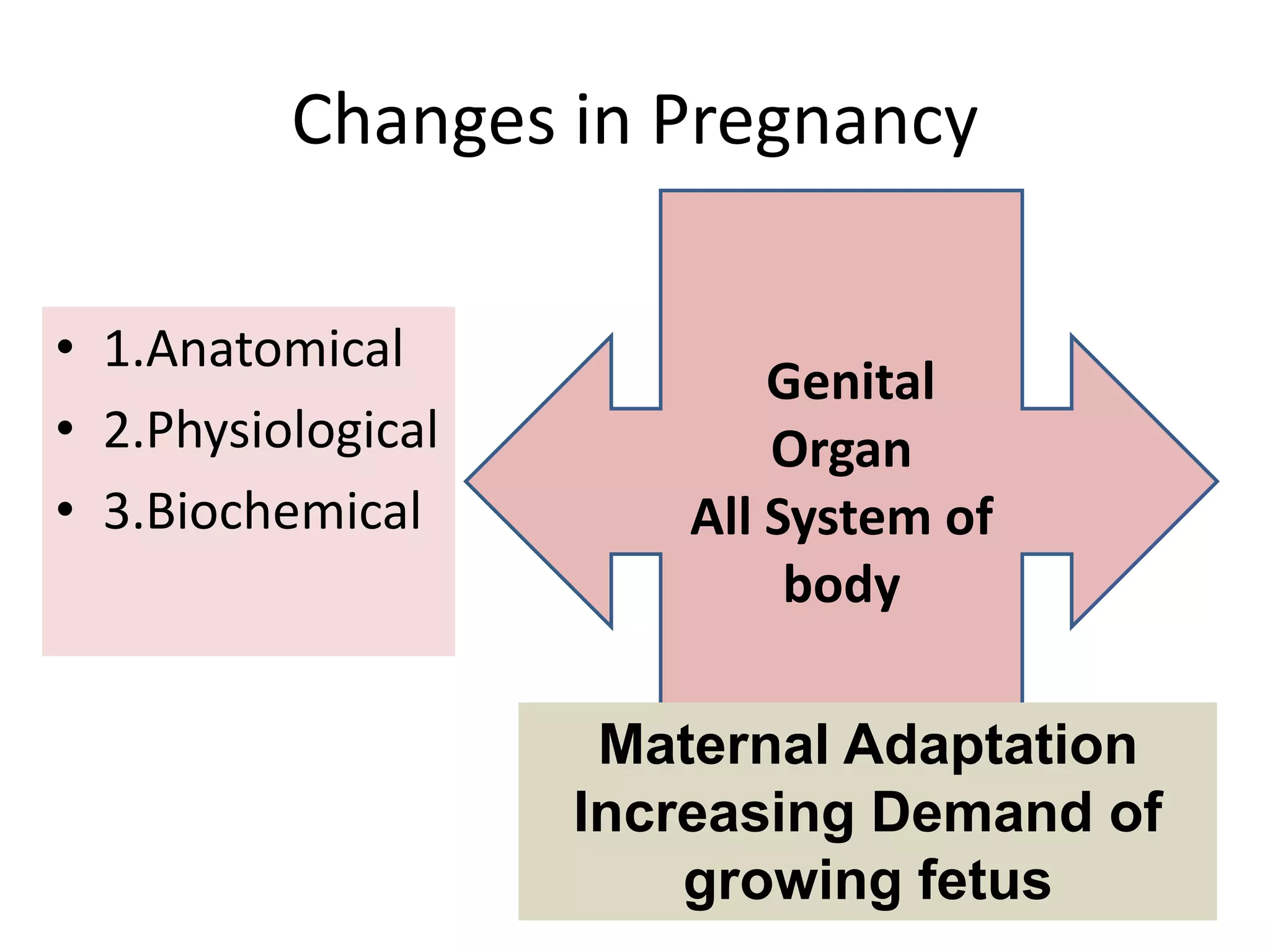 Anatomical and physiological change in pregnancy | PPT