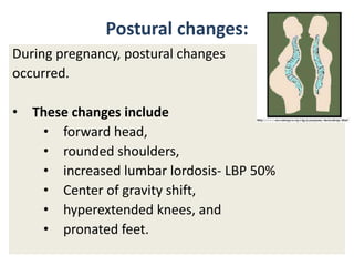 Anatomical and physiological change in pregnancy | PPT