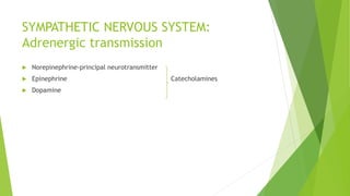 Anatomical and physiological consideration of ans [autosaved ...