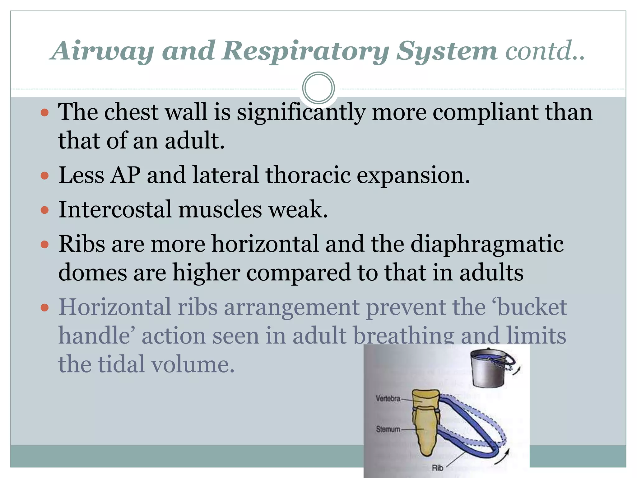 Anatomical and physiological differences between an adult and neonates ...