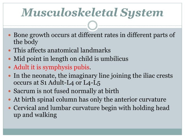 Anatomical and physiological differences between an adult and neonates ...
